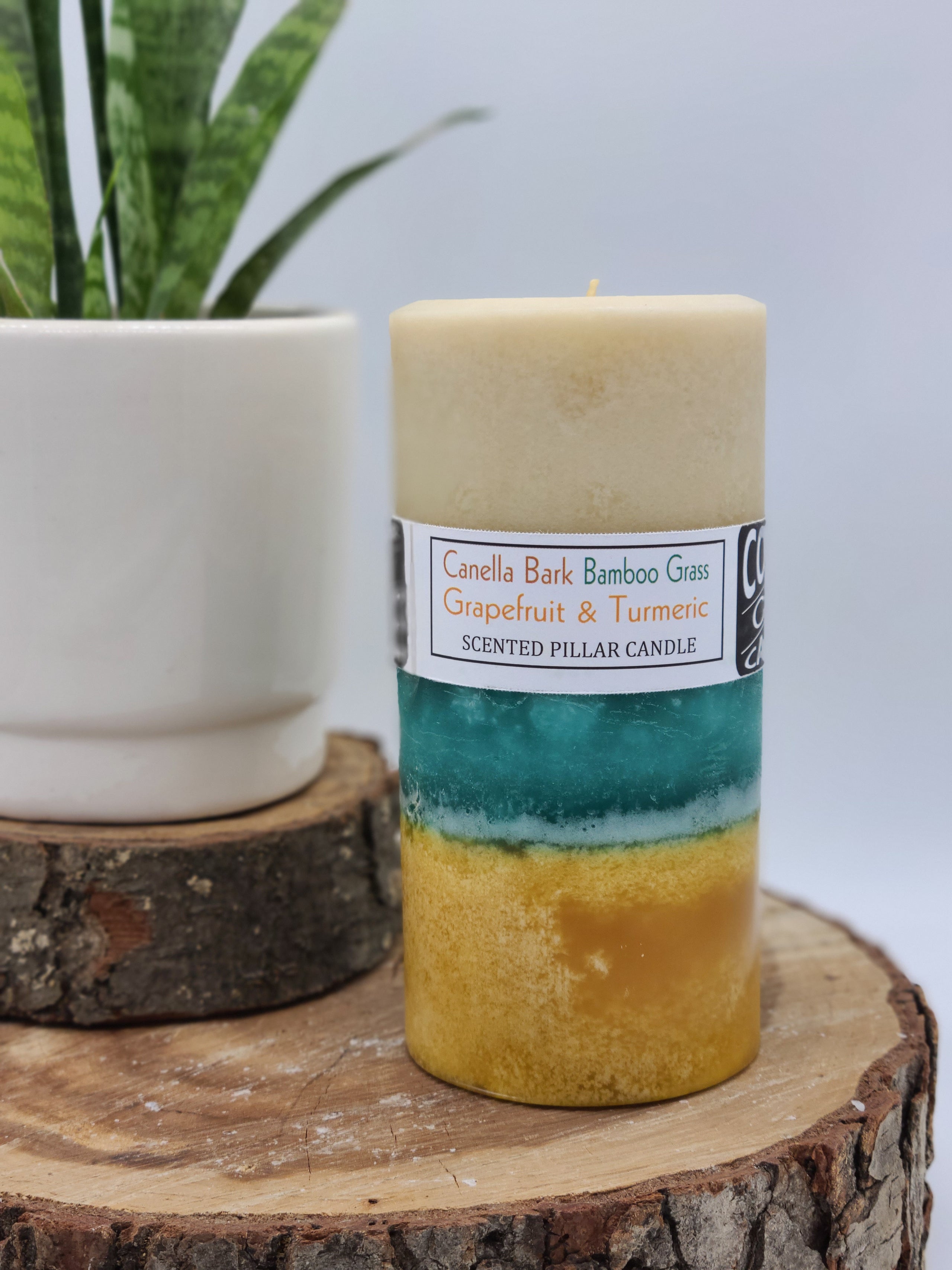 Canella Bark | Bamboo Grass | Grapefruit & Turmeric | Collar City Candle